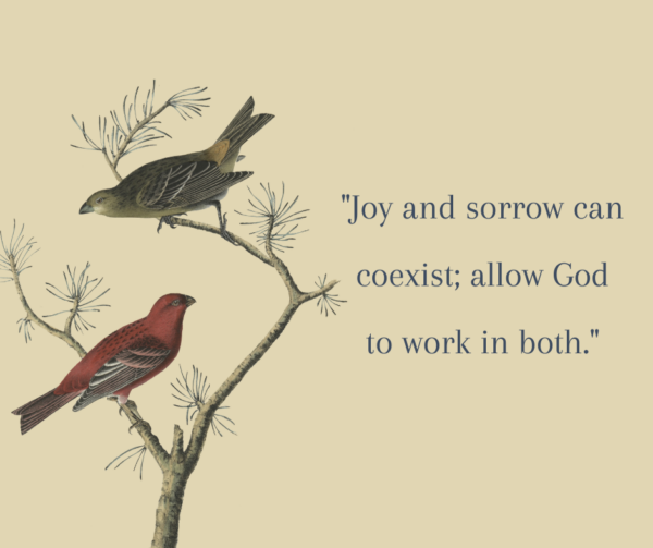 Joy and Sorrow Can Coexist; Allow God to Work in Both - Lessons for ...